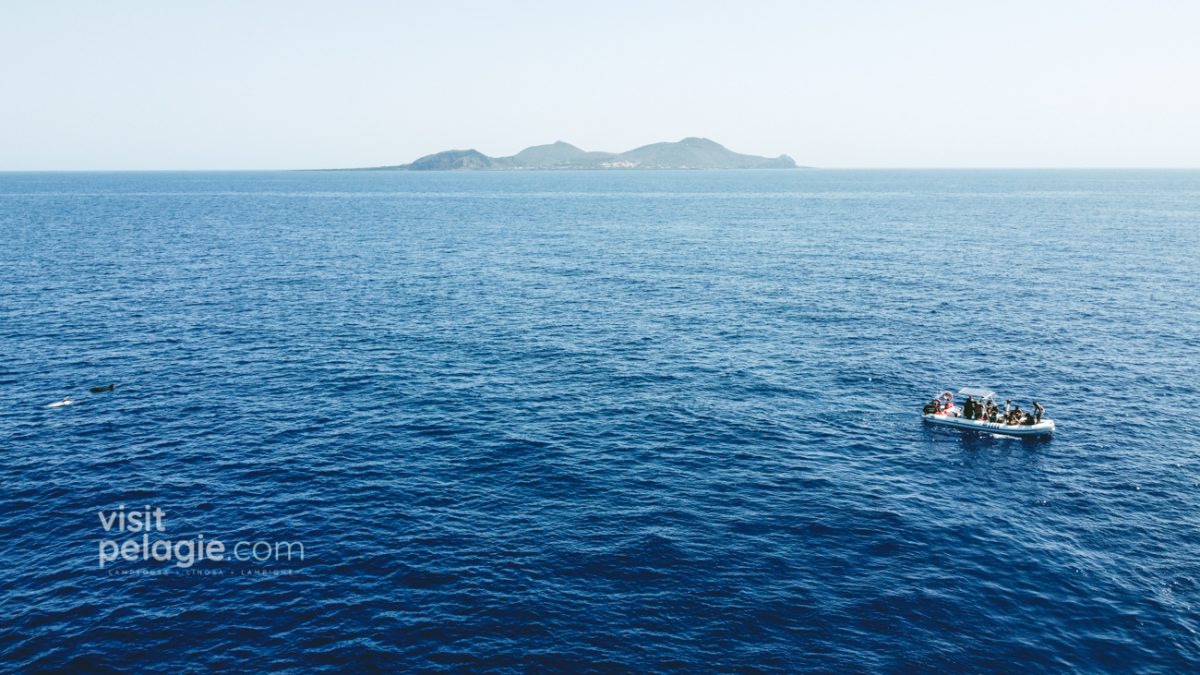 Linosa, isola della bellezza - Visit Pelagie